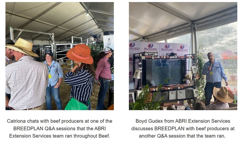 BREEDPLAN - Beef Australia 2024 Wrap Up