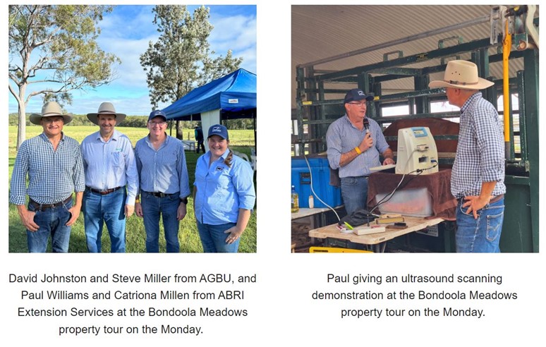 BREEDPLAN - Beef Australia 2024 Wrap Up