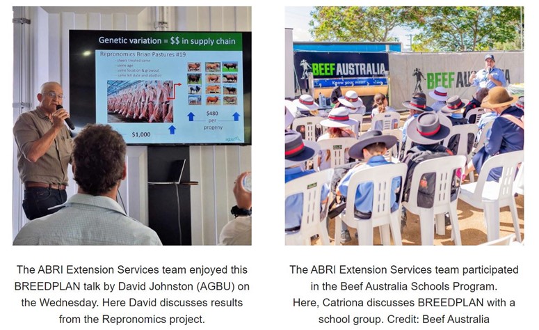 BREEDPLAN - Beef Australia 2024 Wrap Up